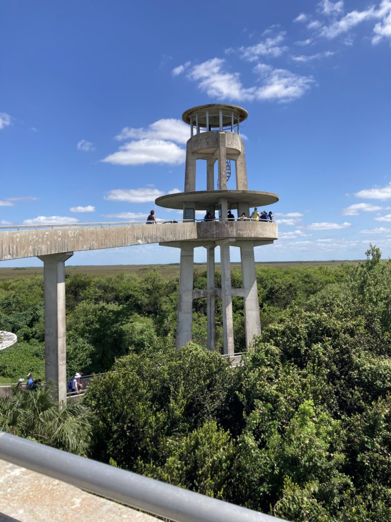 Visit The Amazing Shark Valley Bike Trail and Vistor Center ...