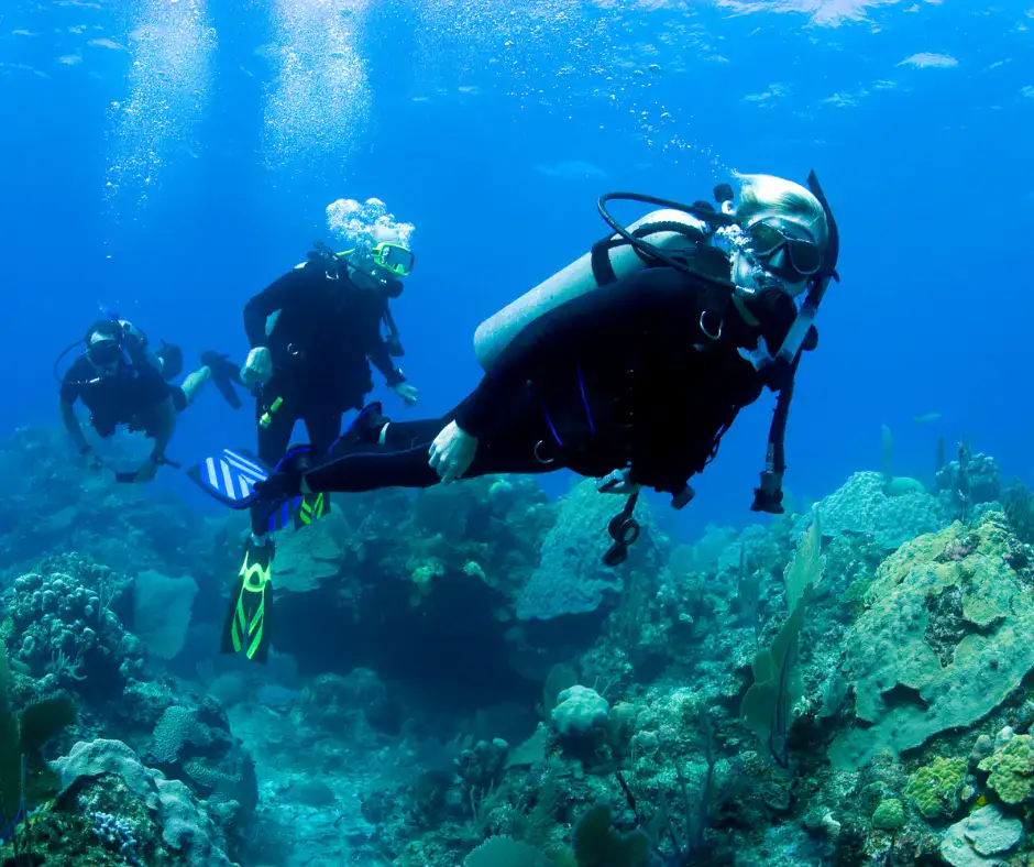 The Perfect Day Royal Caribbean Top 10 Cococay Excursions – Planning Away