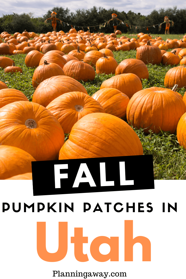 20 Of The Best Pumpkin Patches in Utah For Families (It's Fall Y'all ...