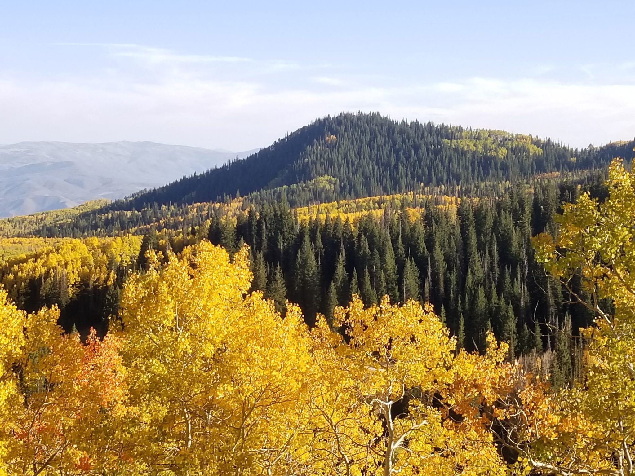 15 Of The Best Places To See The Fall Colors in Utah (Including The ...