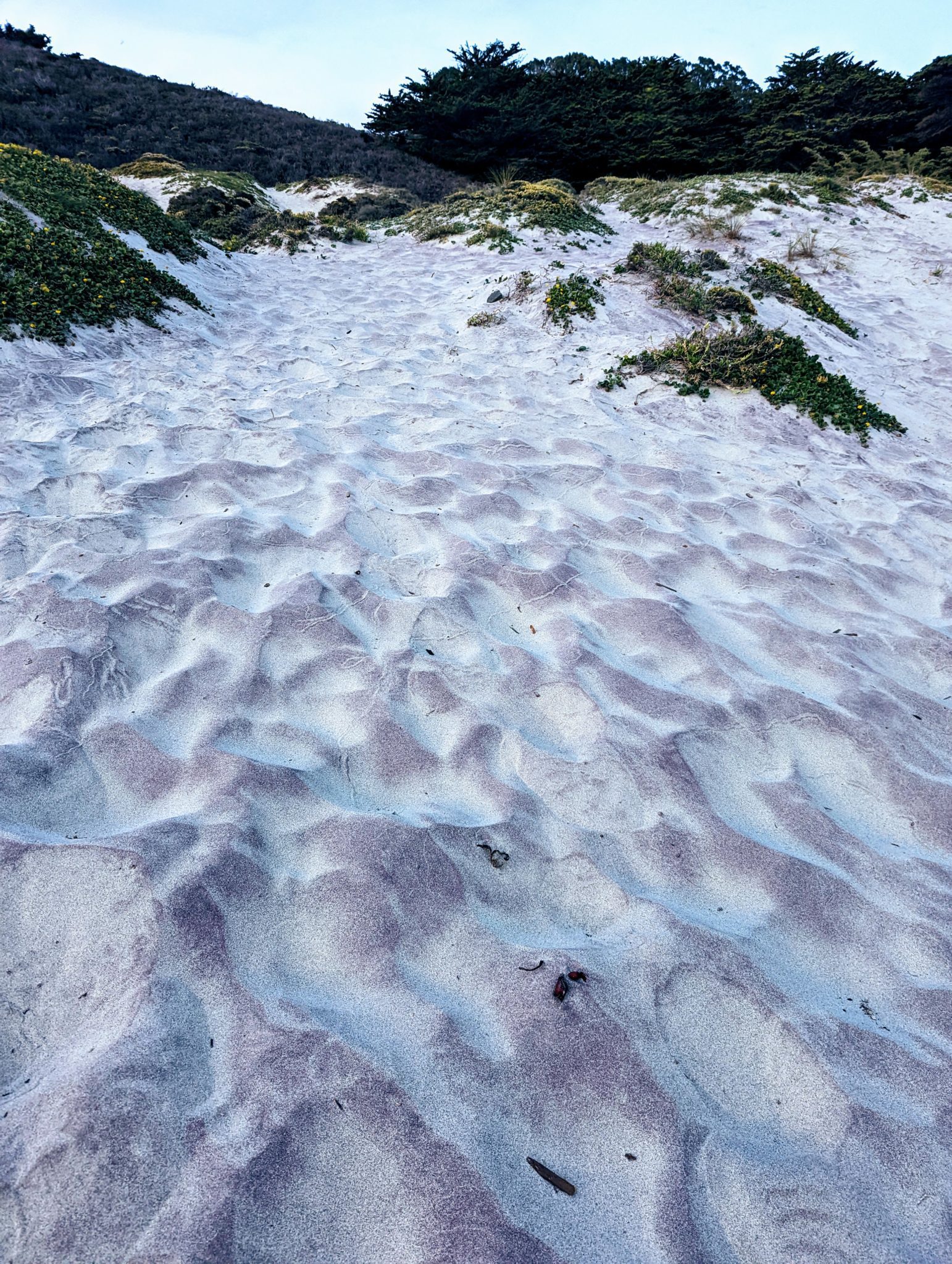 Purple Sand Beach AKA Pfeiffer Beach (The Only Purple Beach in ...