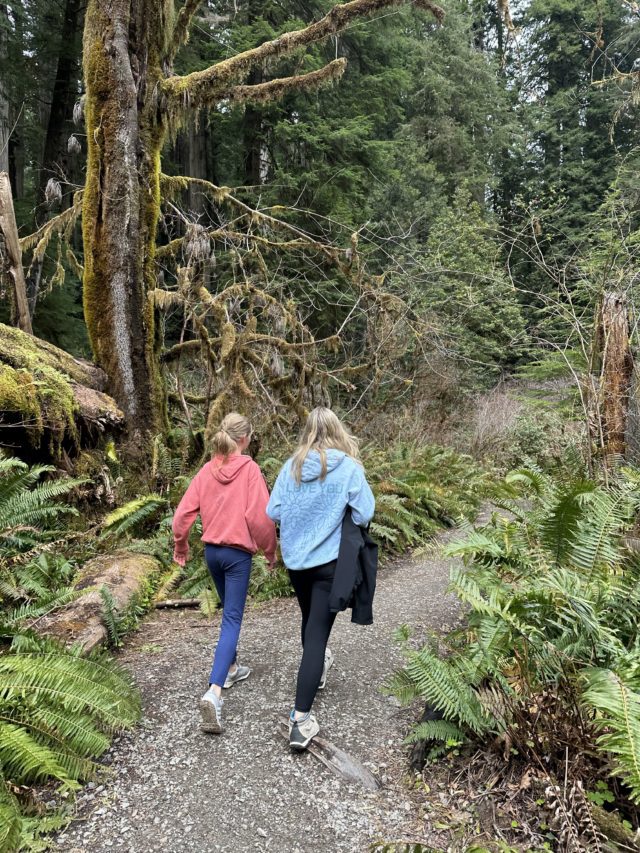 Visiting Redwood National Park With Kids (Let's Plan the Best Redwood ...