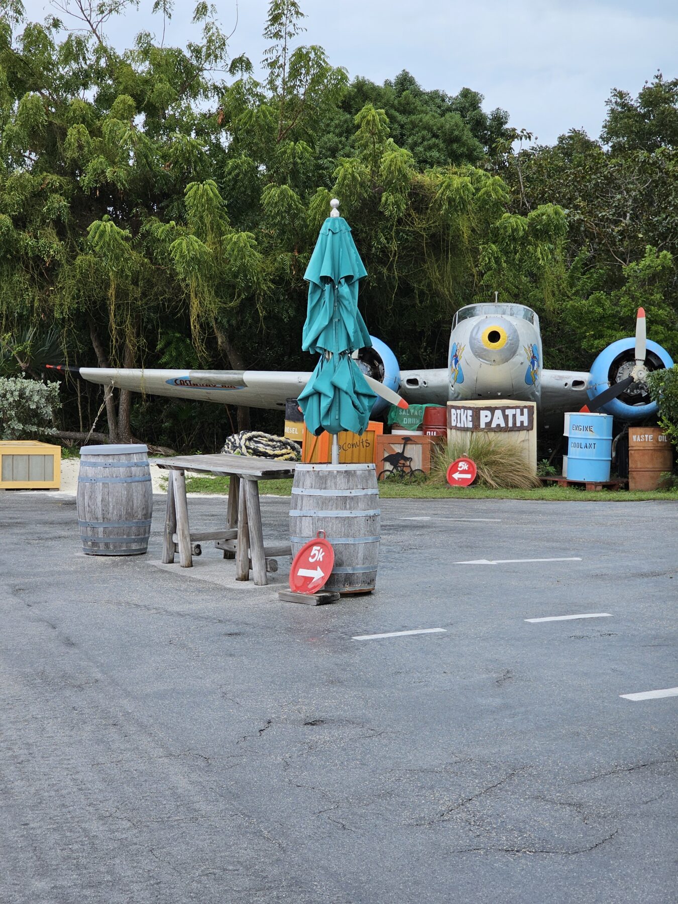 Disney's Castaway Cay 5K (Guide To Plan The Best Race) – Planning Away